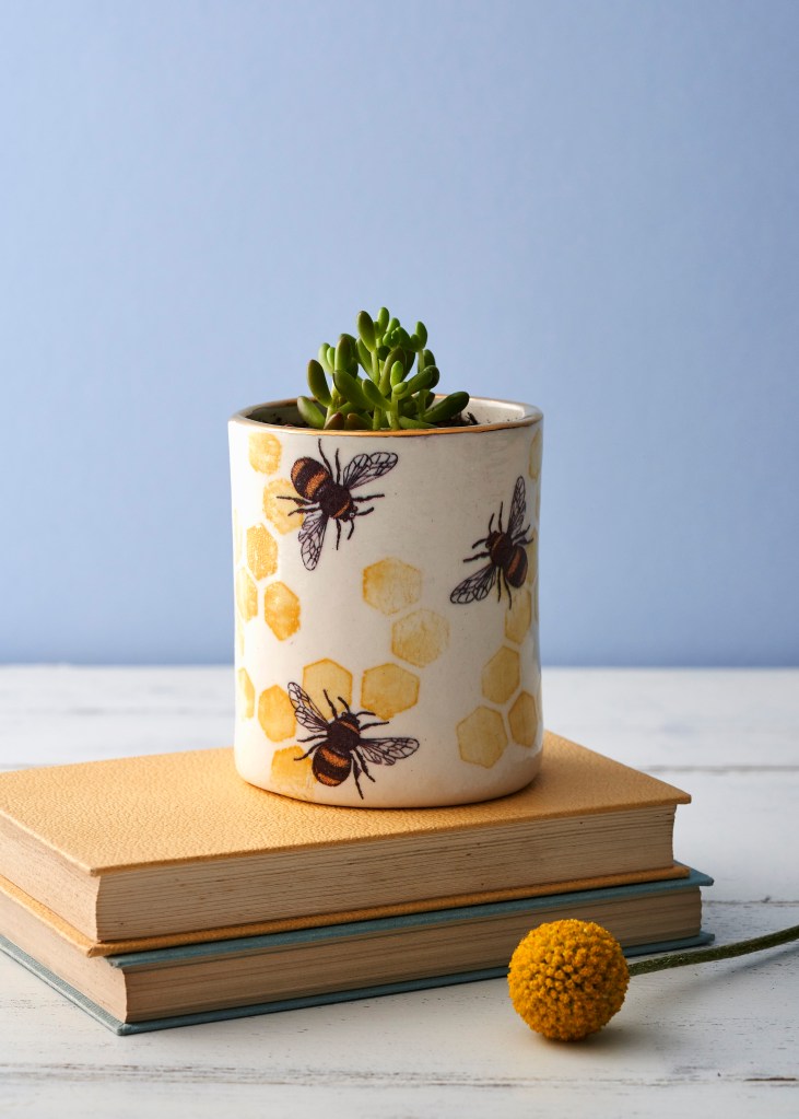 Porcelain bee planter – Ceramics & Jewellery